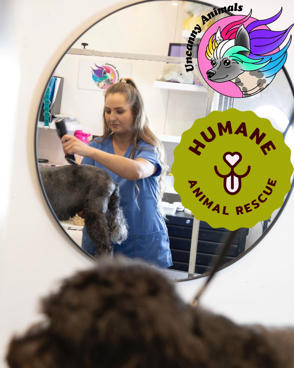 Grooming with Purpose: Our Partnership with Humane Animal Rescue ...