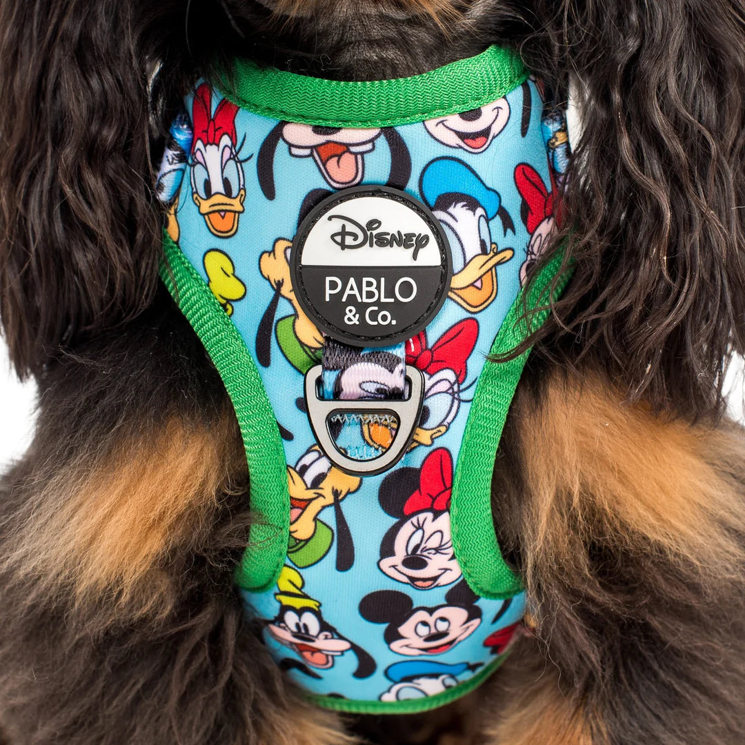 Mickey & Friends Adjustable Harness – Uncanny Animals