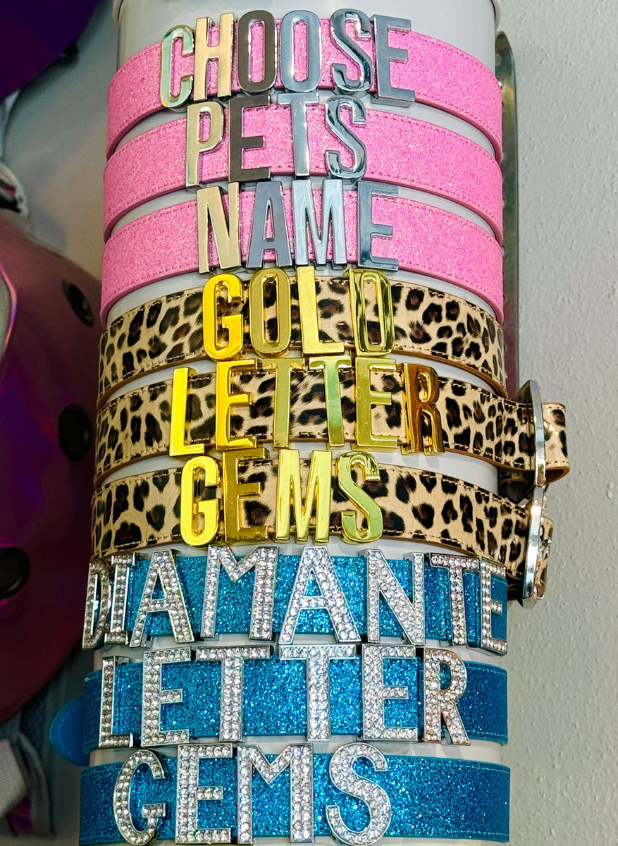 Custom Letters for Personalised Collars - Silver – Uncanny Animals