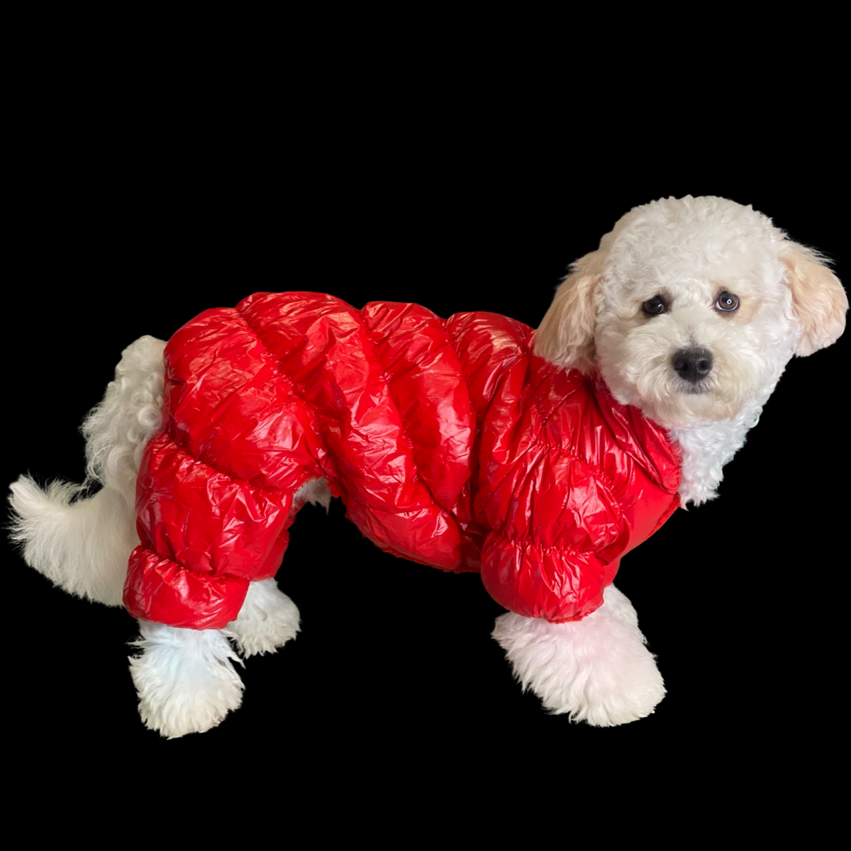 Red Four-legged Winter Padded Puffer Jacket – Uncanny Animals