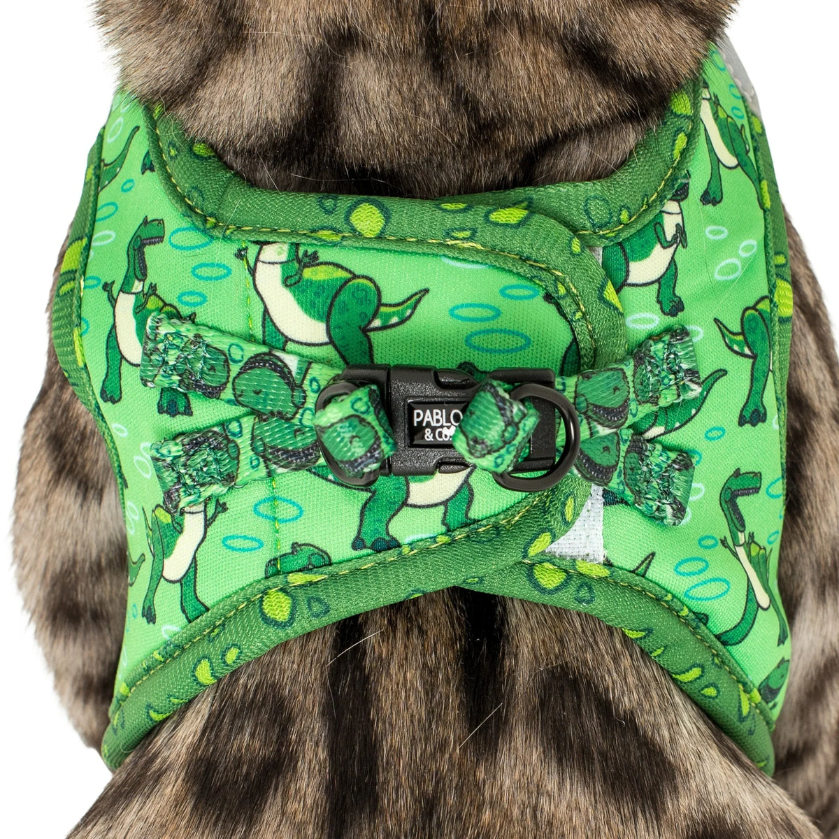 Toy Story: Rex - Cat Harness + Leash Set – Uncanny Animals