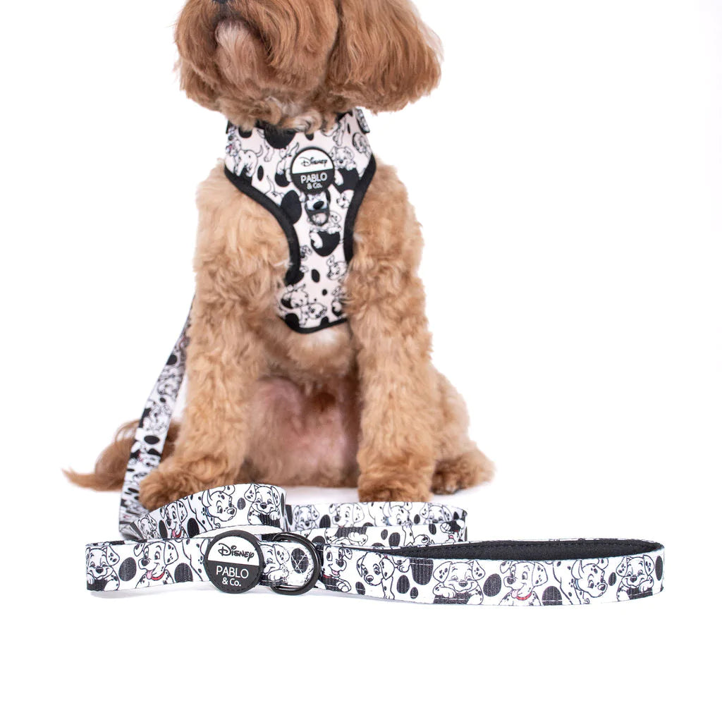 101 Dalmatians Dog Leash – Uncanny Animals