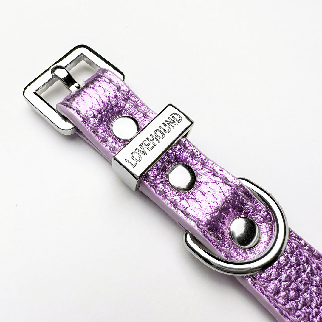 Sweetheart Dog Collar - Metallic Purple – Uncanny Animals
