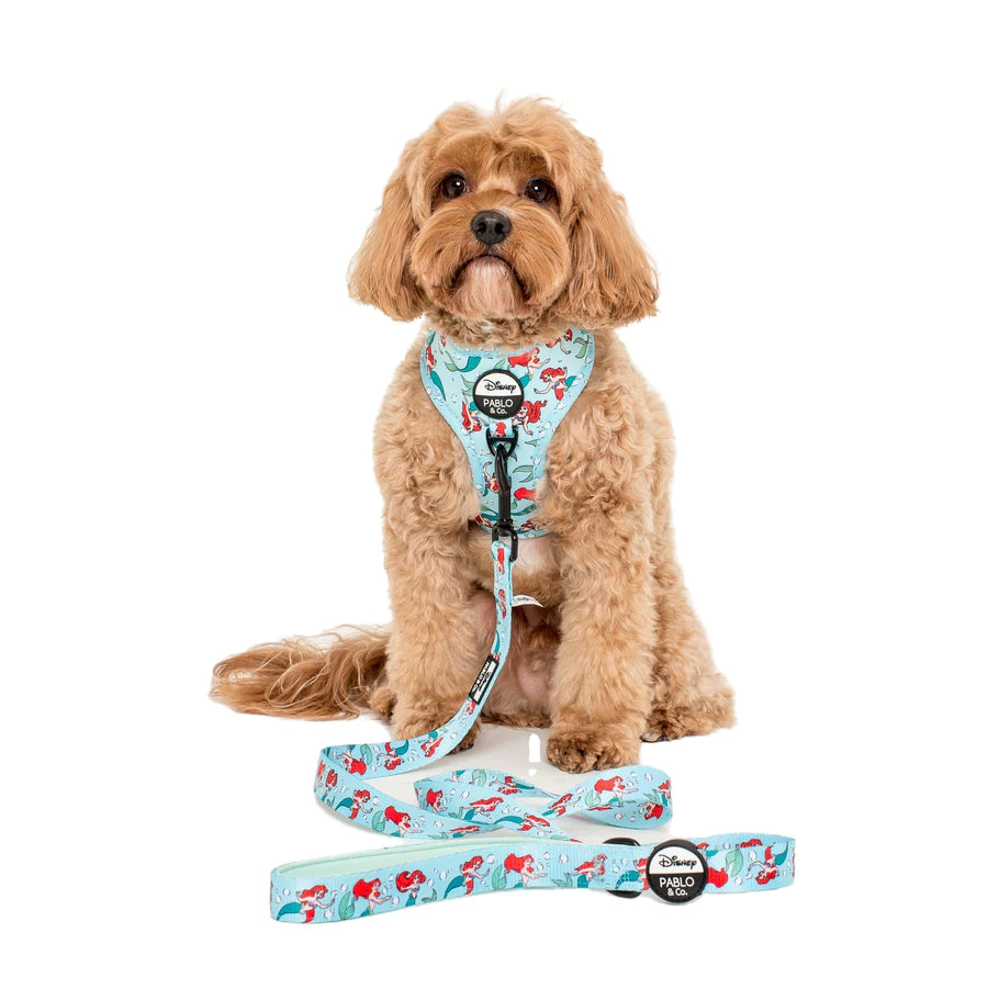 The Little Mermaid Ariel Dog Leash – Uncanny Animals
