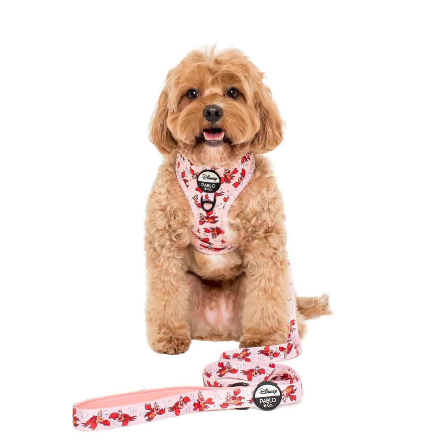 The Little Mermaid Sebastian Dog Leash – Uncanny Animals