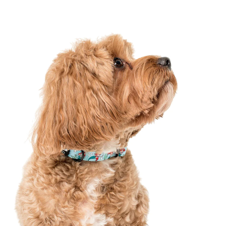The Little Mermaid- Ariel - Dog Collar – Uncanny Animals