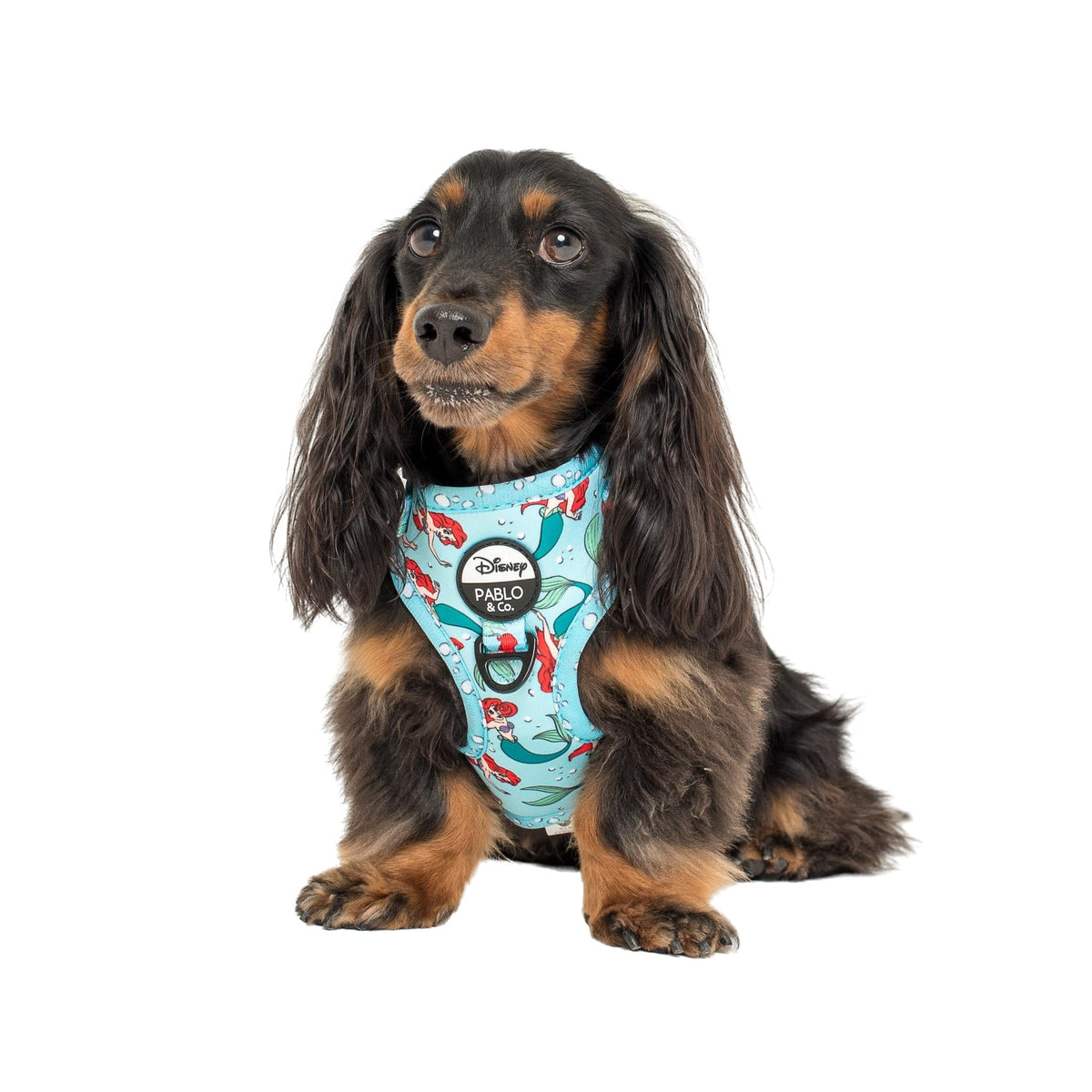 The Little Mermaid Ariel Adjustable Harness – Uncanny Animals