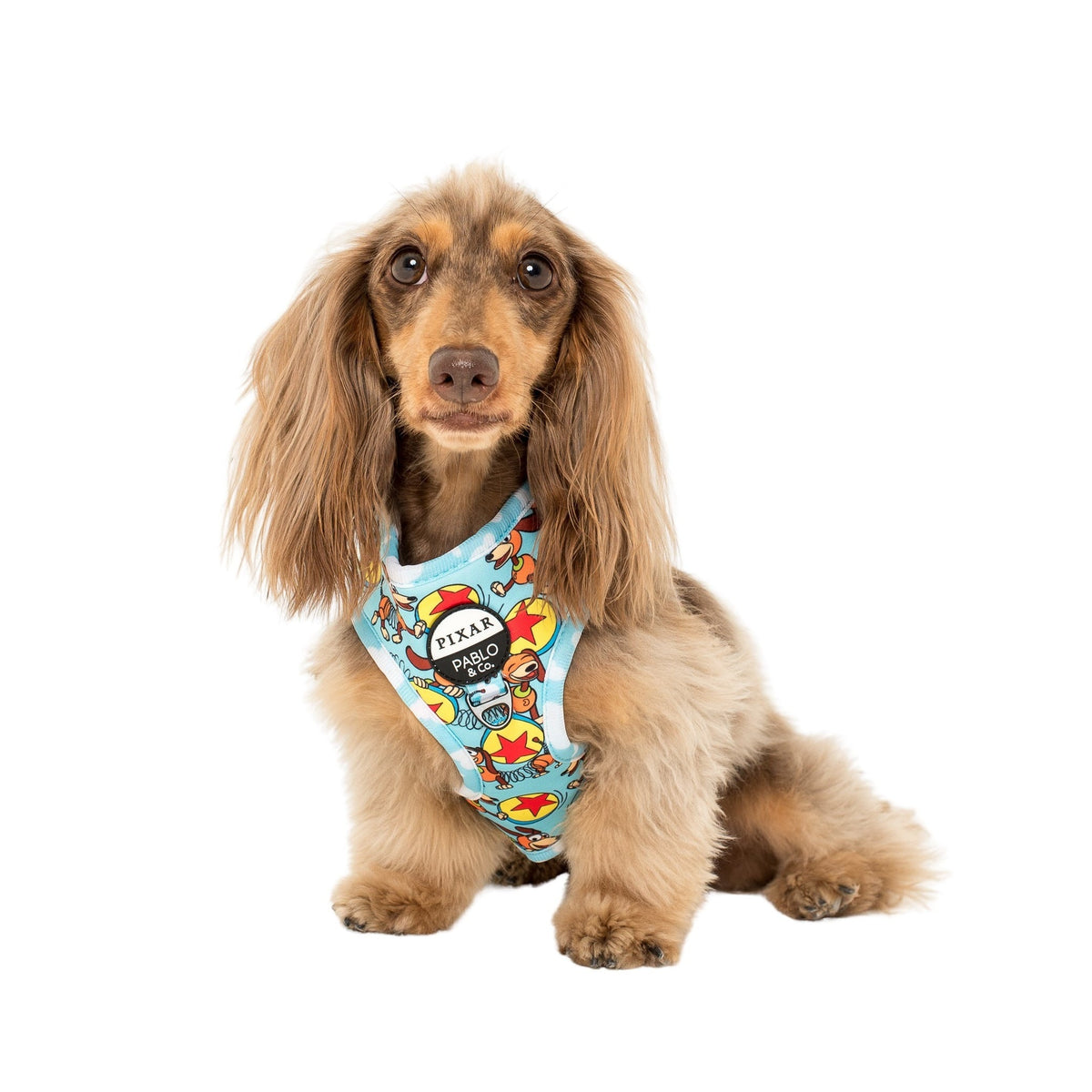 Toy Story - Slinky Dog Adjustable Harness – Uncanny Animals