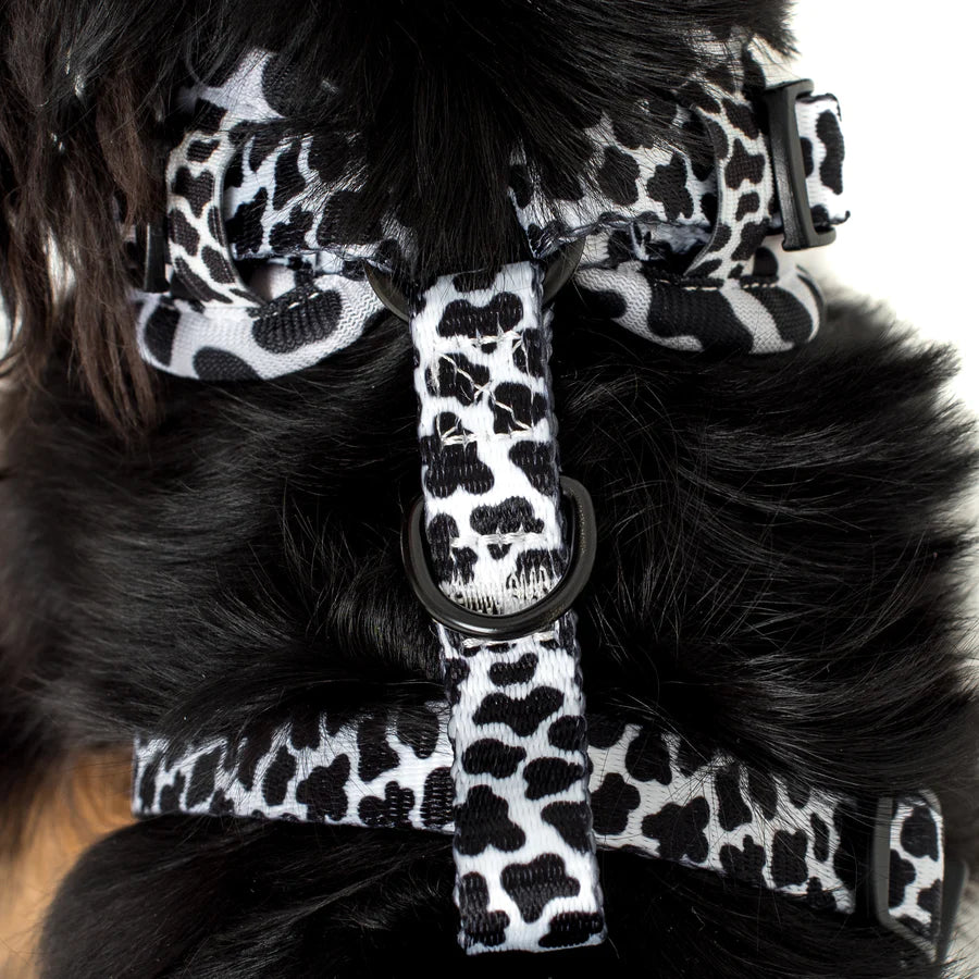 Moo Moo Cow Print Adjustable Harness – Uncanny Animals
