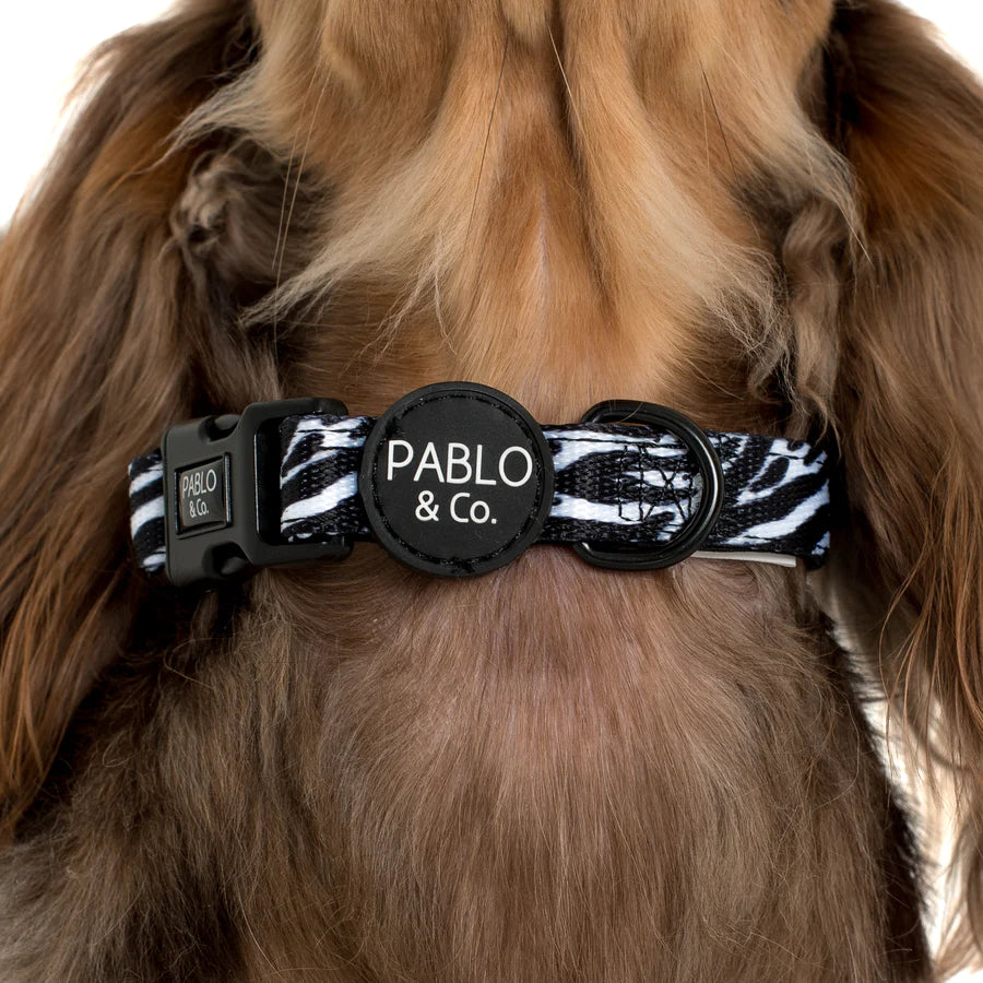 Black & White Zebra Dog Collar – Uncanny Animals