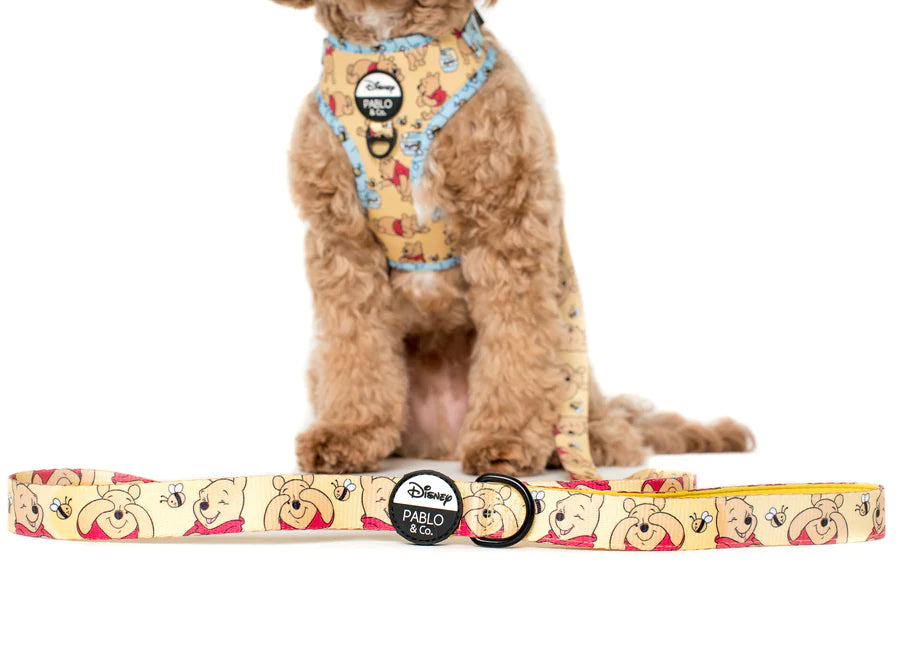 Winnie the Pooh & Bee's Dog Leash – Uncanny Animals